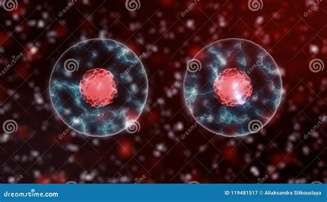 Cell Division Microbiology With Cells Or Bacteria Under Microscope Popular Scientific
