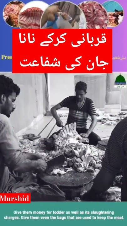 قربانی کرنے میں نانا جان کی شفاعت حاصل Youtube