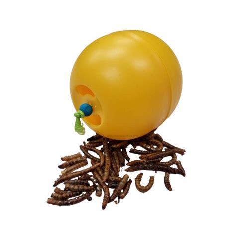 Chicken Toys Queenslander Aviaries