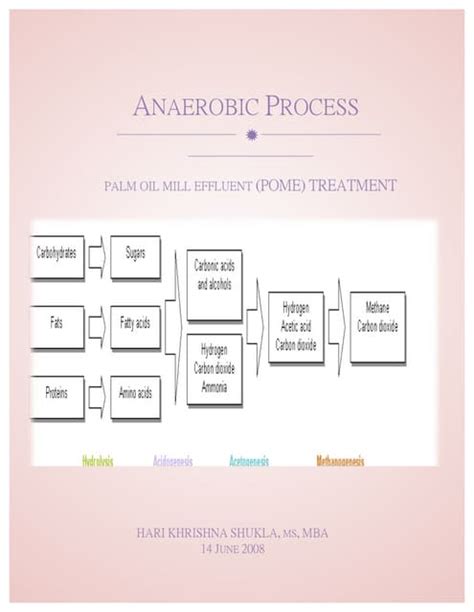 Anaerobic Process Pdf