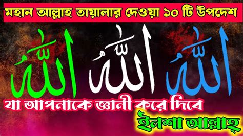 মহান আল্লাহ্ তায়ালার ১০ টি উপদেশ যা আপনাকে জ্ঞানী করে দিবে