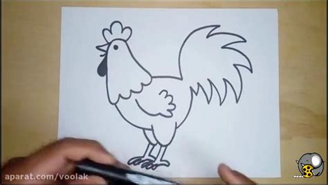 آموزش نقاشی خروس فیلو