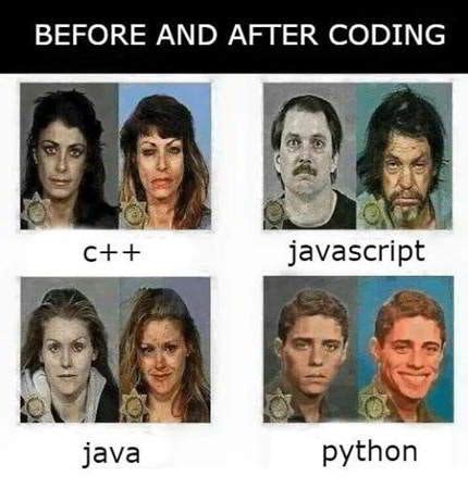 Python Inmonim