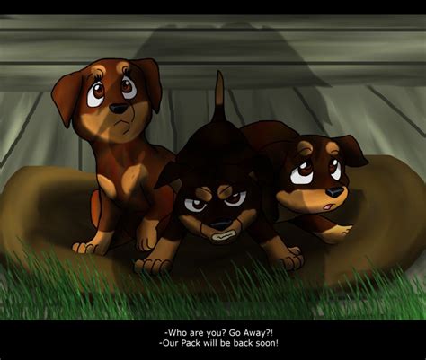 Erin Hunter Memes