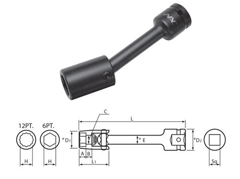 Universal Socket Echazarra