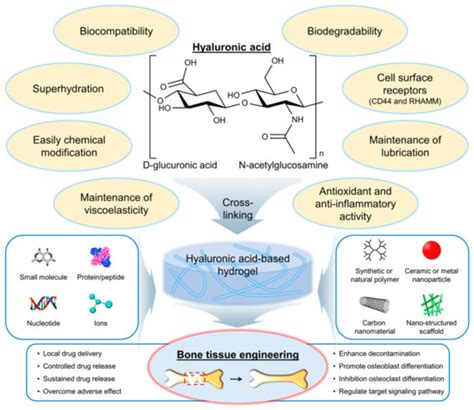 Design And Formulation Of Hyaluronic Acid Based Hydrogels