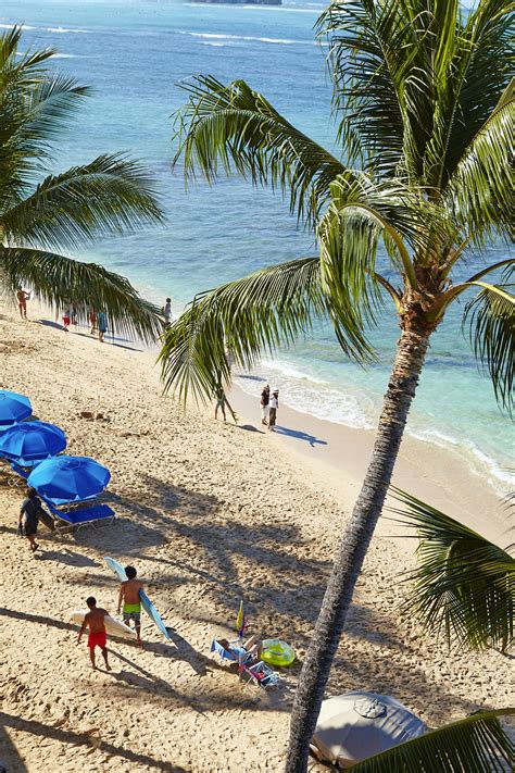Getting Around In Honolulu Lonely Planet