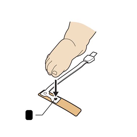 Masimo Rd Set Wrap Infant Toe