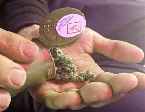 Legal Cannabis Sales Marred By Dangerous Mold Contamination