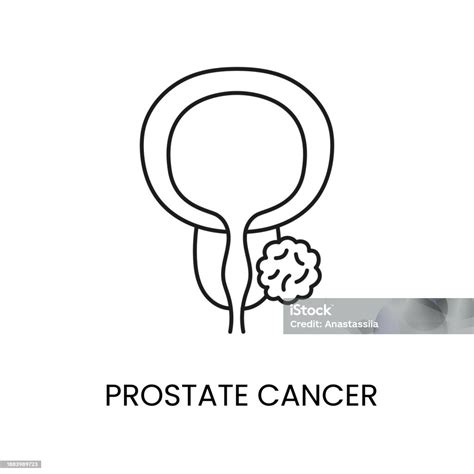 Prostate Cancer Line Icon Vector Cancer Malignant Disease Stock