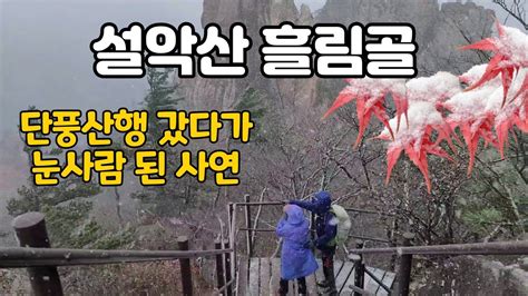 설악산 단풍 위에 폭설이 펑펑 단풍산행 갔다가 눈사람 된 사연 YouTube