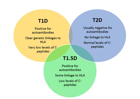 Type 1 5 Diabetes An Overview