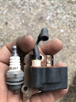 Poulan Ignition Coil Module EBay