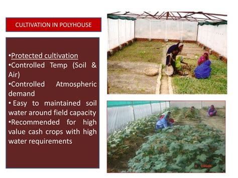 Efficient Irrigation And Fertigation In Polyhouse Pptx