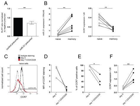 A Ratio Of Renilla Luciferase Rl To Firefly Luciferase Fl Signal Download Scientific