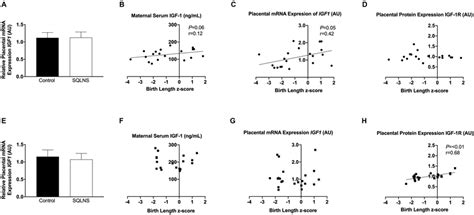 Effect Of Preconceptional Sqlns On And The Association Of The Igf 1