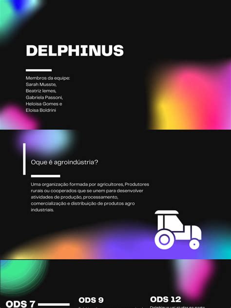 Delphinus Equipe 2 Pdf Pdf