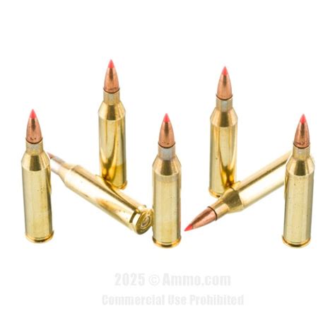 The Best 243 Ammo For Target Shooting Recommended By Experts