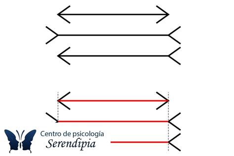 Cómo Funciona La Ilusión Müller Lyer Centro Serendipia