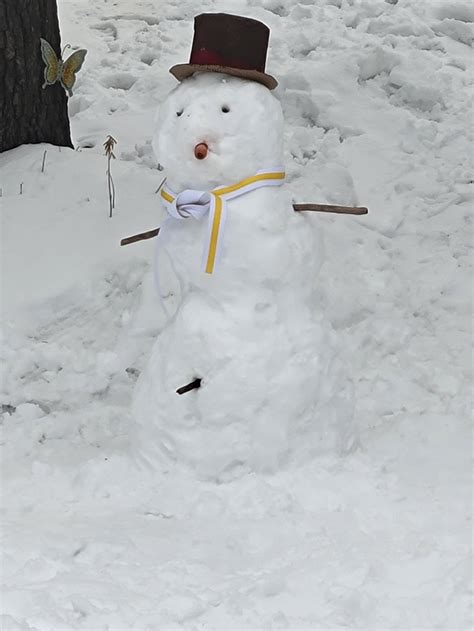 My Year Old Son Made A Snowman Meme Guy