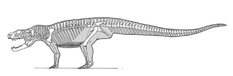 Postosuchus Skeleton Taxon Of The Week Postosuchus The Dino Sirs