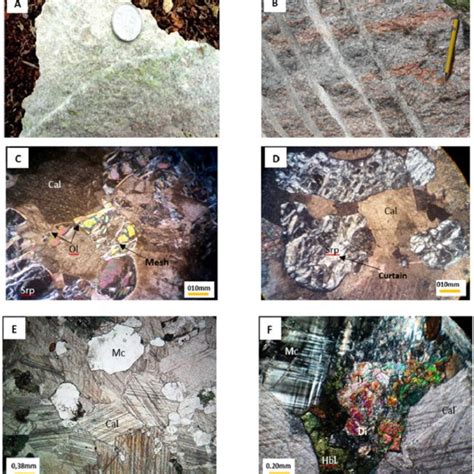 A Metapsammite With Granular Granoblastic Texture Containing Garnet