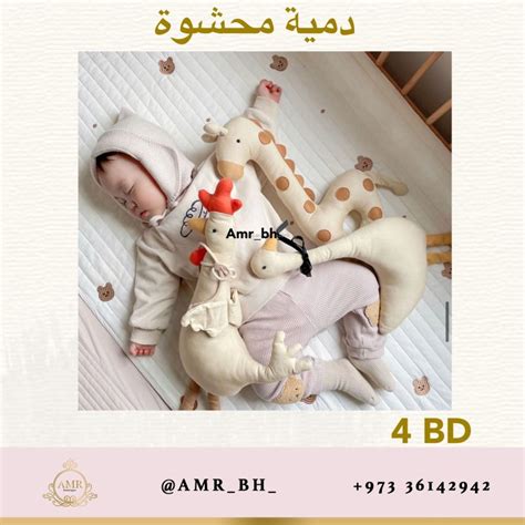 Stuffed Chicken دمية محشوة دجاجة Amr