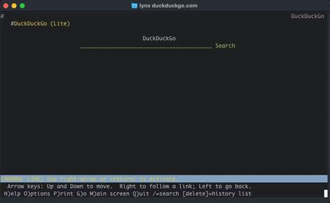 How To Search The Web Directly From A Linux Terminal Using Simple Tools Ahla Home