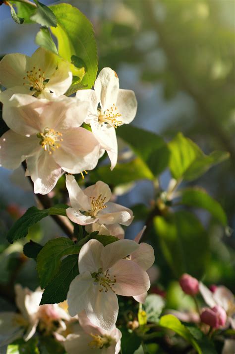 Compare Background Photos Download The Best Free Compare Background