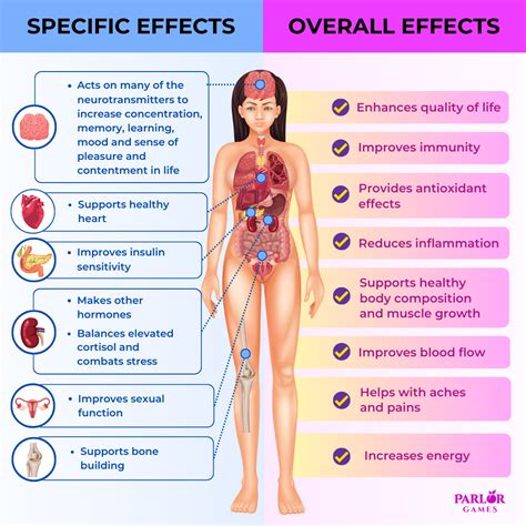 Discover The Benefits Risks And Uses Of DHEA A Popular Hormone Supplement Learn How It Can