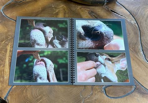 Champions Choice Joe Coombs Classics Inc