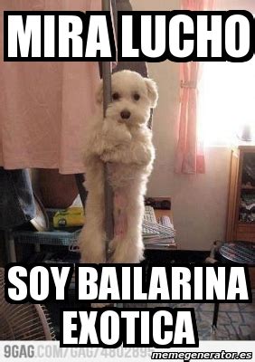 Meme Personalizado Mira LUCHO SOY BAILARINA EXOTICA 383333