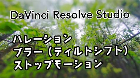 DaVinci Resolve Studio 18 5森林散策 Forest Walkダヴィンチ有償版で編集ブラーティルトシフトと