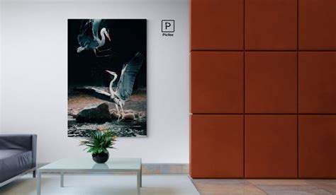 David Stam De Jonge On Linkedin Picfee Linkedin