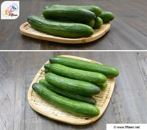 50 Vietnamese Vegetables Common Types And Varied Tastes