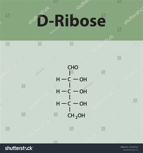 Straight Chain Form Chemical Structure Dribose Stock Vector Royalty Free 2284694541 Shutterstock