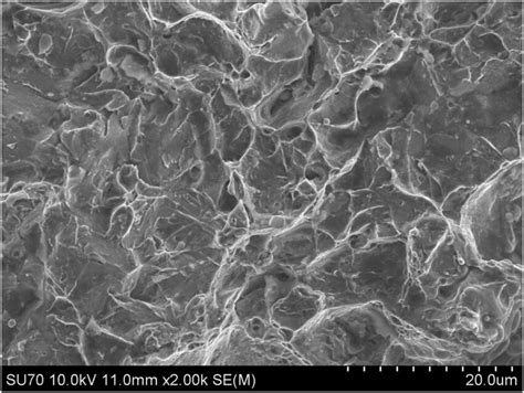 Scanning Electron Microscope Image Of The Specimen Fracture Download