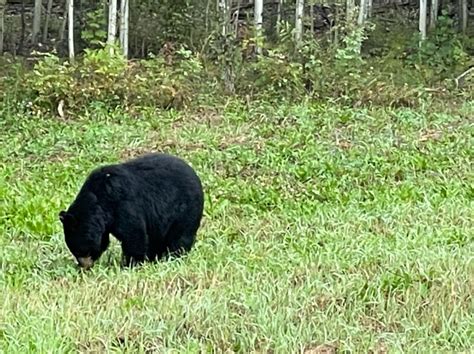 Arghya Kamal Chatterjee On Linkedin Stratum Jobluxury Opportunity Civilengineering