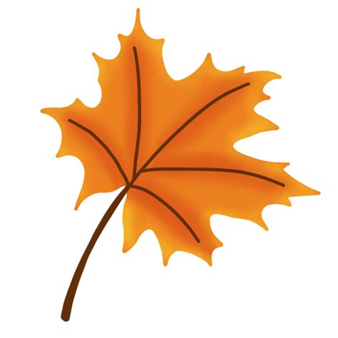 Maple Leaf Illustration PNG