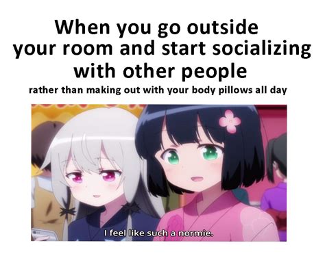 Fucking Normies Ranimemes