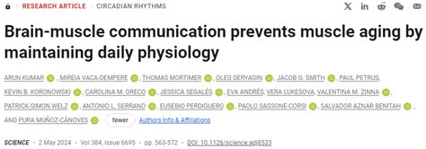 Sciencecell子刊揭示中枢生物钟和外周生物钟之间的协调可维持皮肤和肌肉发挥正常功能并阻止它们衰老 生物研究专区 生物谷
