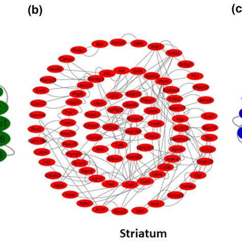 Clustering Analysis “nitrogen Compounds Metabolic Process” Was