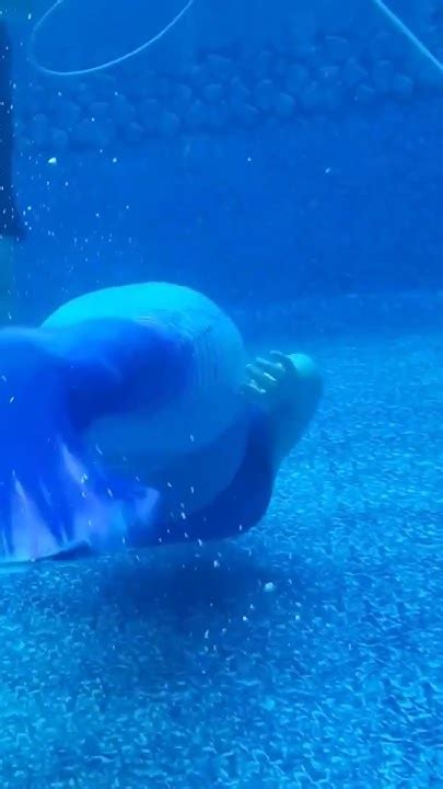 Lotus Moon Mermaid Tail Mermaid Mermaidswim Mermaidtail Monofin