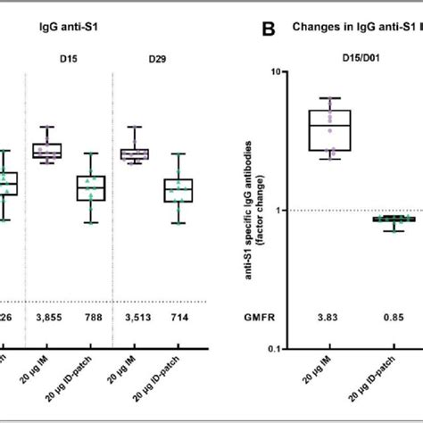 SARS CoV 2 Specific Antibody Response A SARS CoV 2 S1 Specific IgG