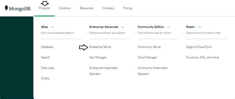 How To Install Mongodb Enterprise On Windows Geeksforgeeks