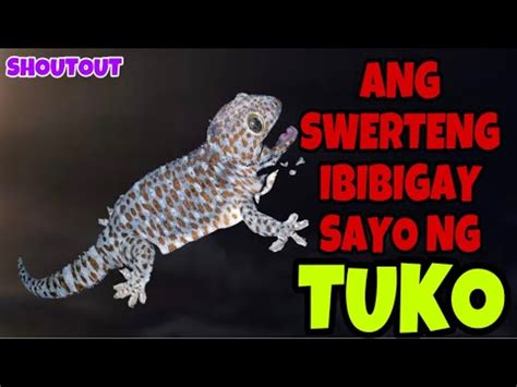 ANG SWERTENG IBIBIGAY SAYO NG TUKO YouTube