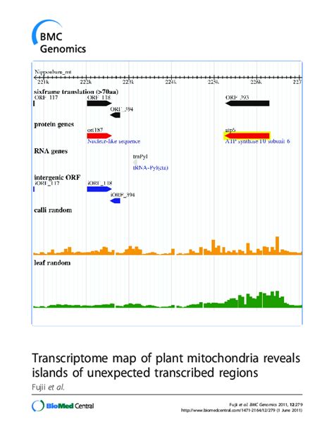 Pdf Transcriptome Map Of Plant Mitochondria Reveals Islands Of Unexpected Transcribed Regions