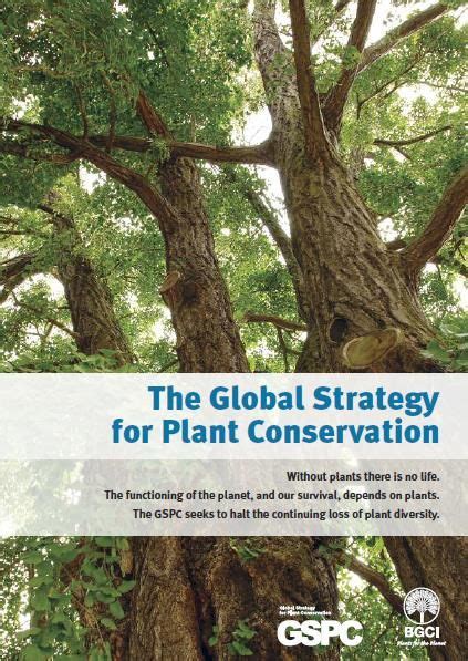 Gestión De Especies Amenazadas Bloque BotÁnica Estrategias De Conservación Vegetal