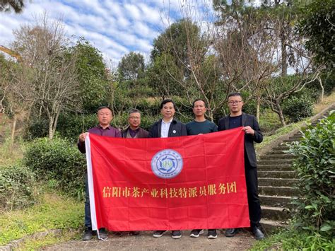信阳市茶产业科技特派员服务团前往平桥区开展服务 信阳农林学院茶学院