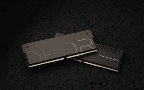Asgard Intros Thor Ddr5 9600 48 Gb Cudimm Memory Techpowerup